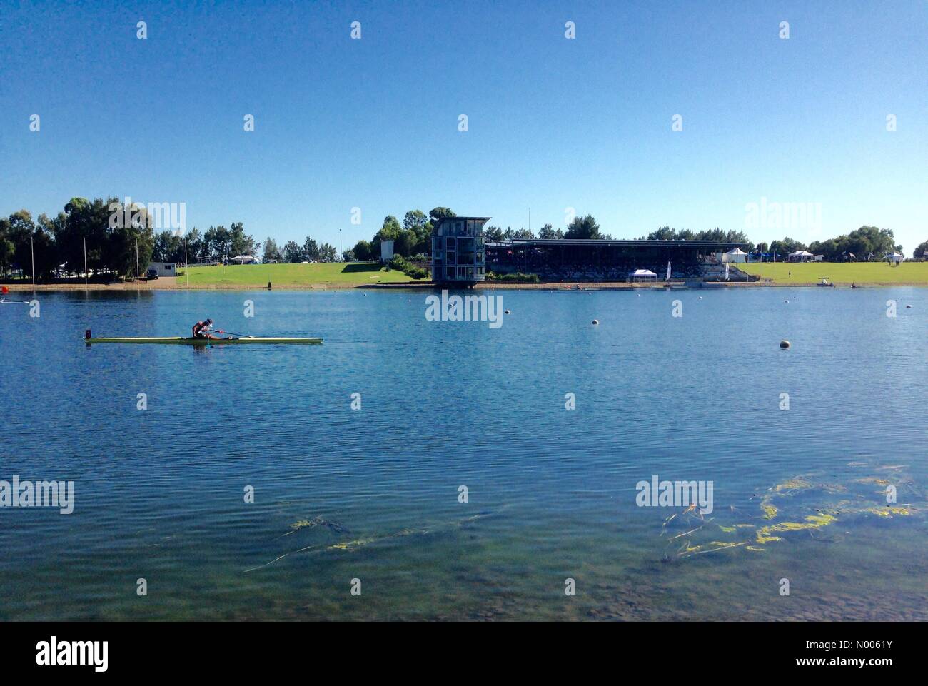 New south wales rowing championship hi-res stock photography and images ...