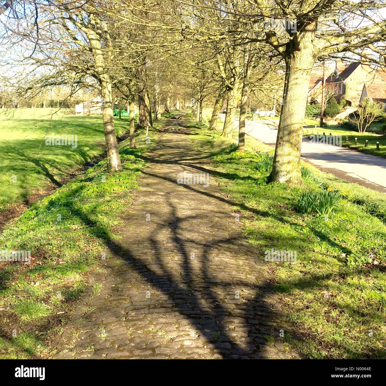 Steventon, Oxfordshire, UK. 24th February, 2016. UK Weather: Sunny and ...