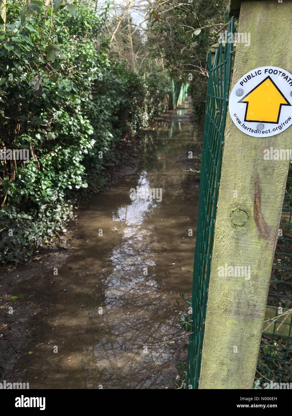 Flooded pathway hi-res stock photography and images - Alamy