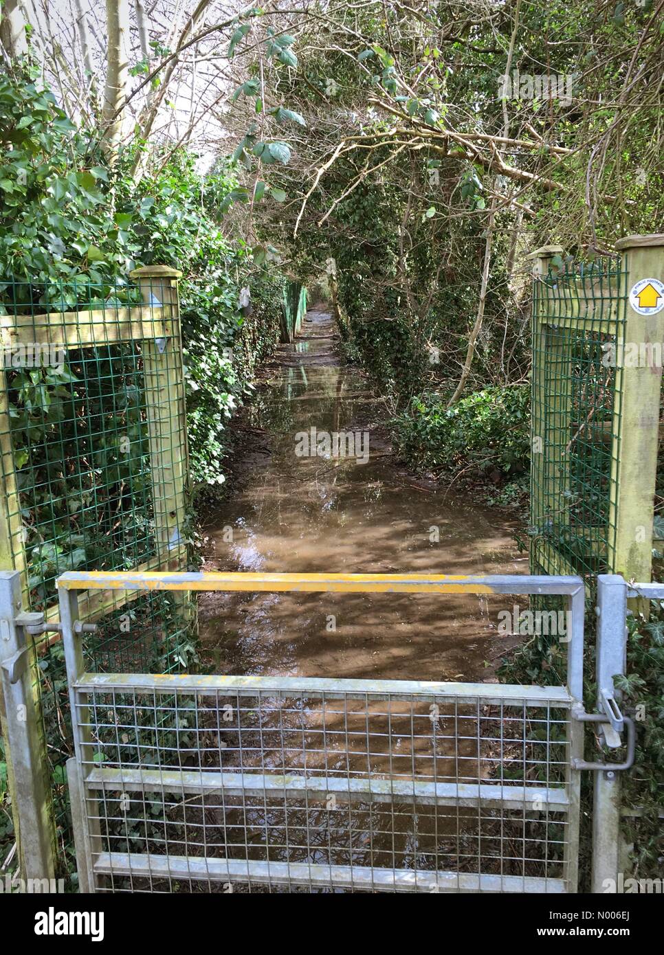 Flooded public footpaths in Eastern England after Storm Katie Stock ...
