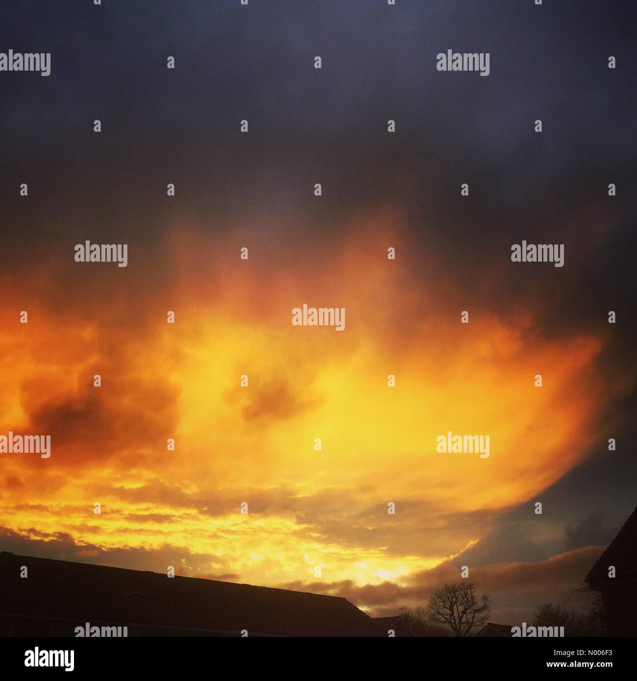 Tongham surrey hi-res stock photography and images - Alamy