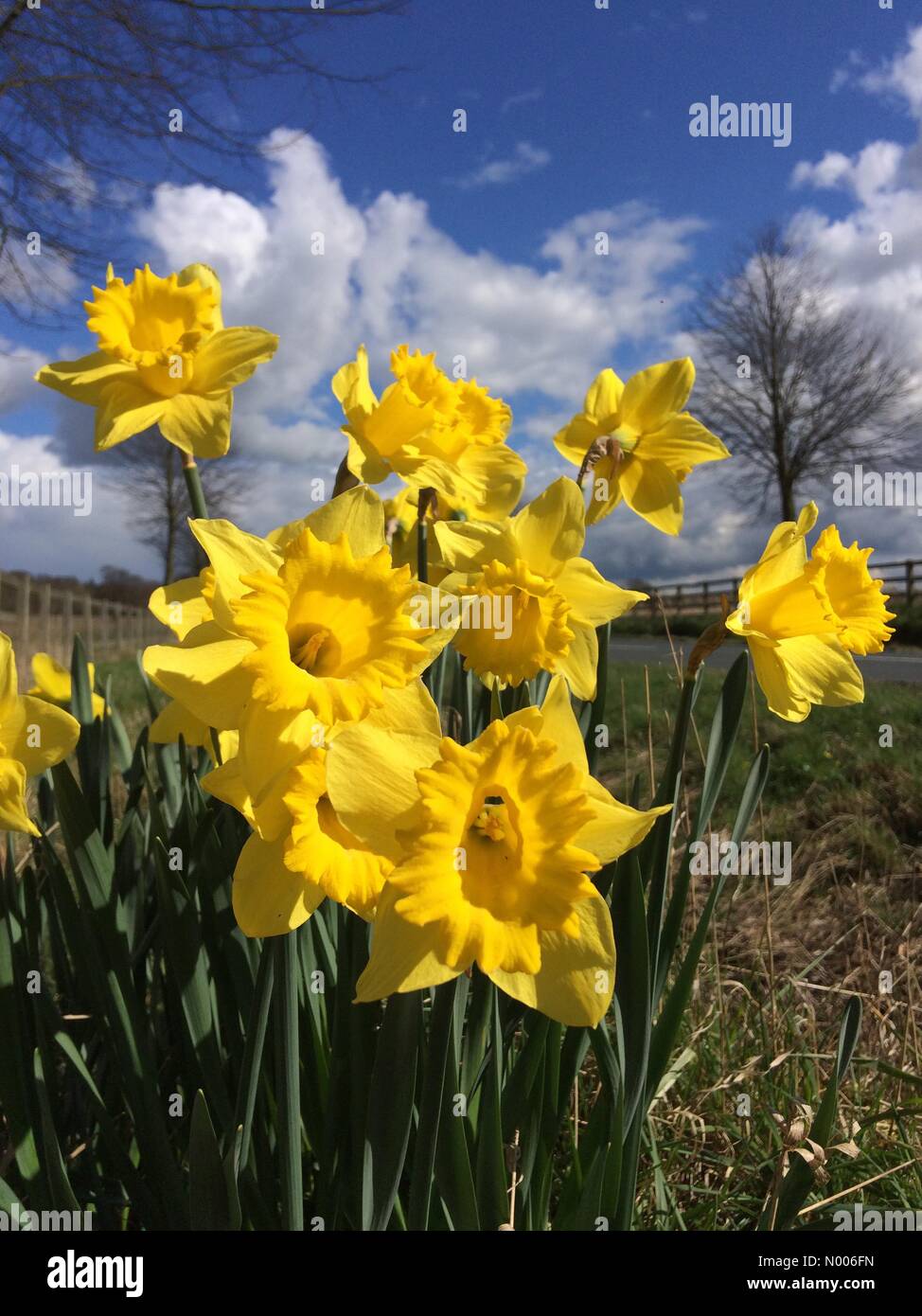 Spring uk weather hi-res stock photography and images - Alamy