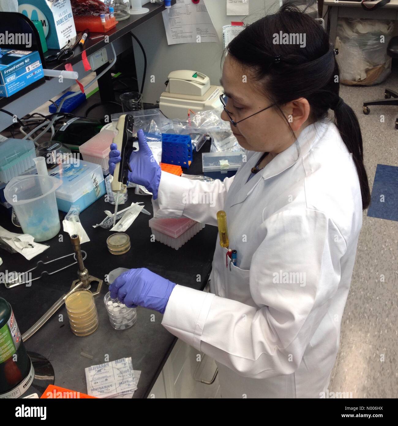 Merritt Island, Florida, USA. 06th Apr, 2016. Zoe Gaffen from King's ...