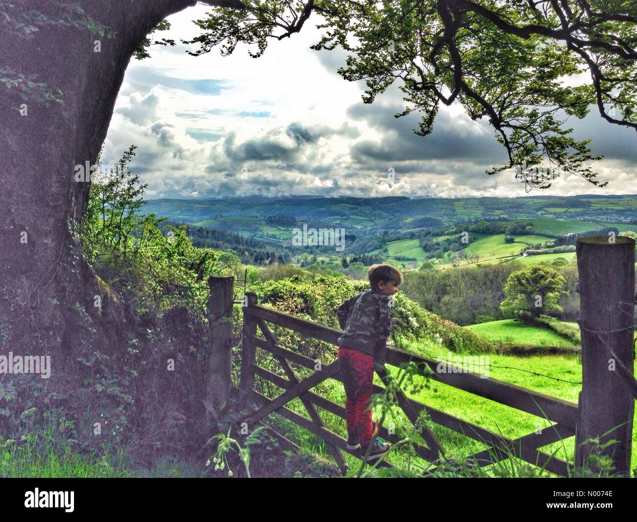 Exeter, Devon, UK. 11th May, 2016. UK Weather: Looking out over ...
