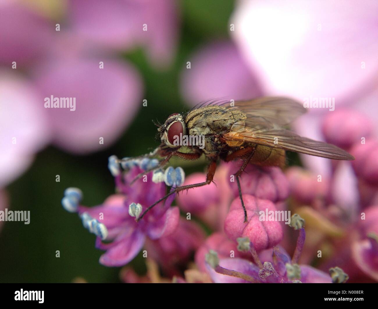 UK weather sunny day in Leeds - A sunny day at Golden Acre Park in ...