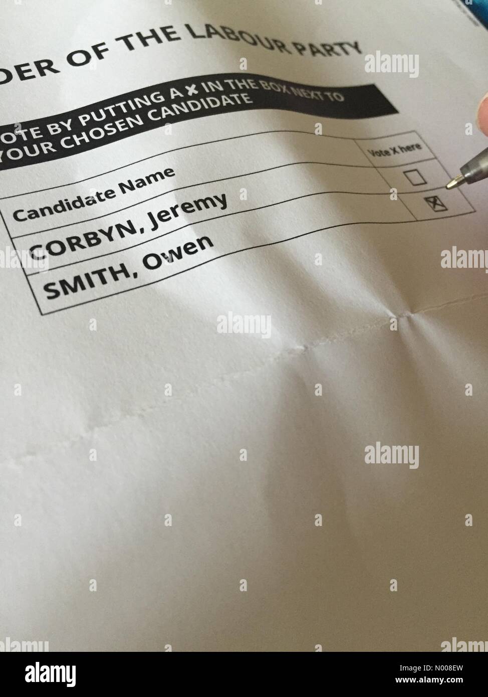 Ballot paper labour hi-res stock photography and images - Alamy