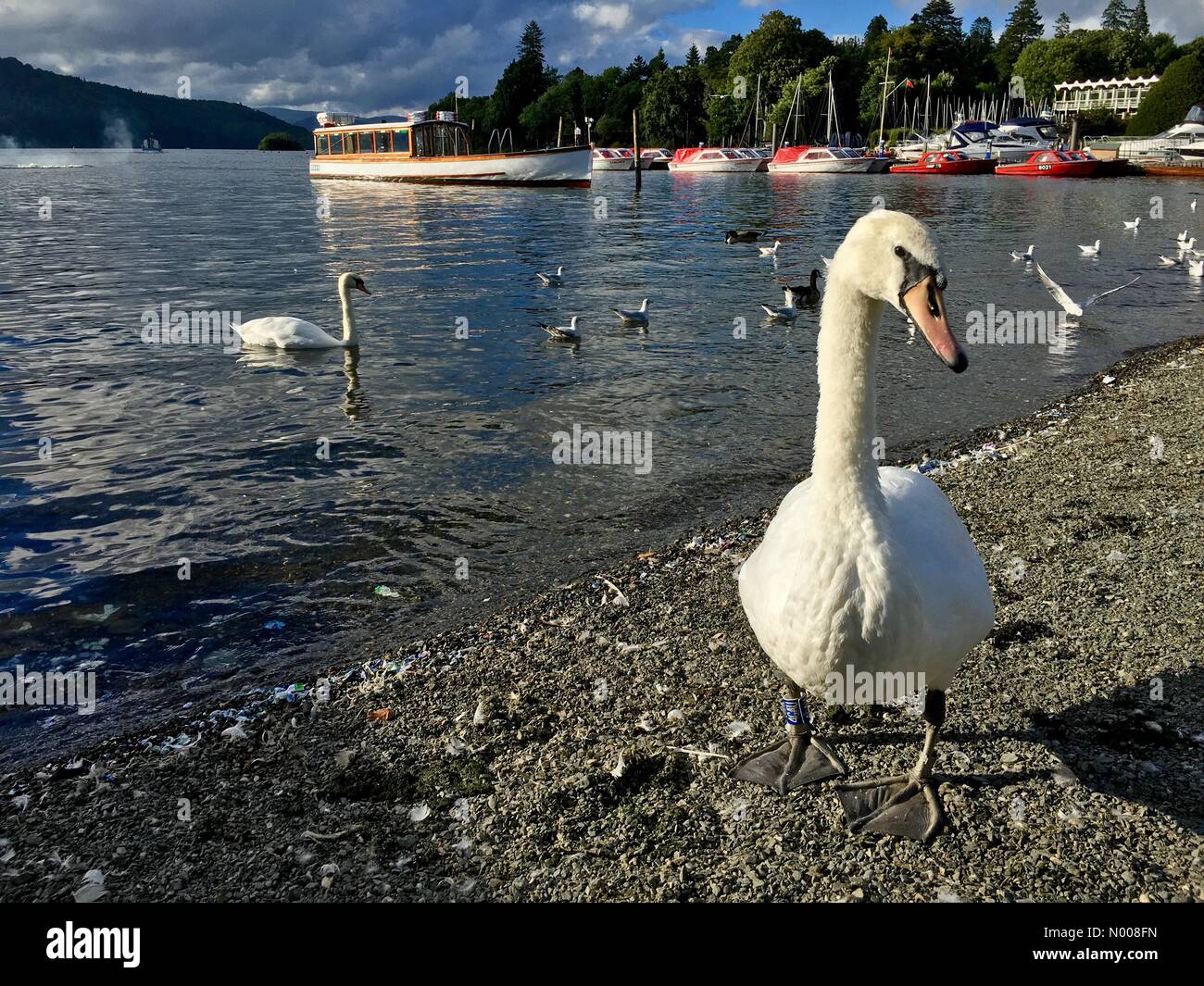 UK Weather: Late afternoon sunshine at Bowness-on-Windermere Stock ...