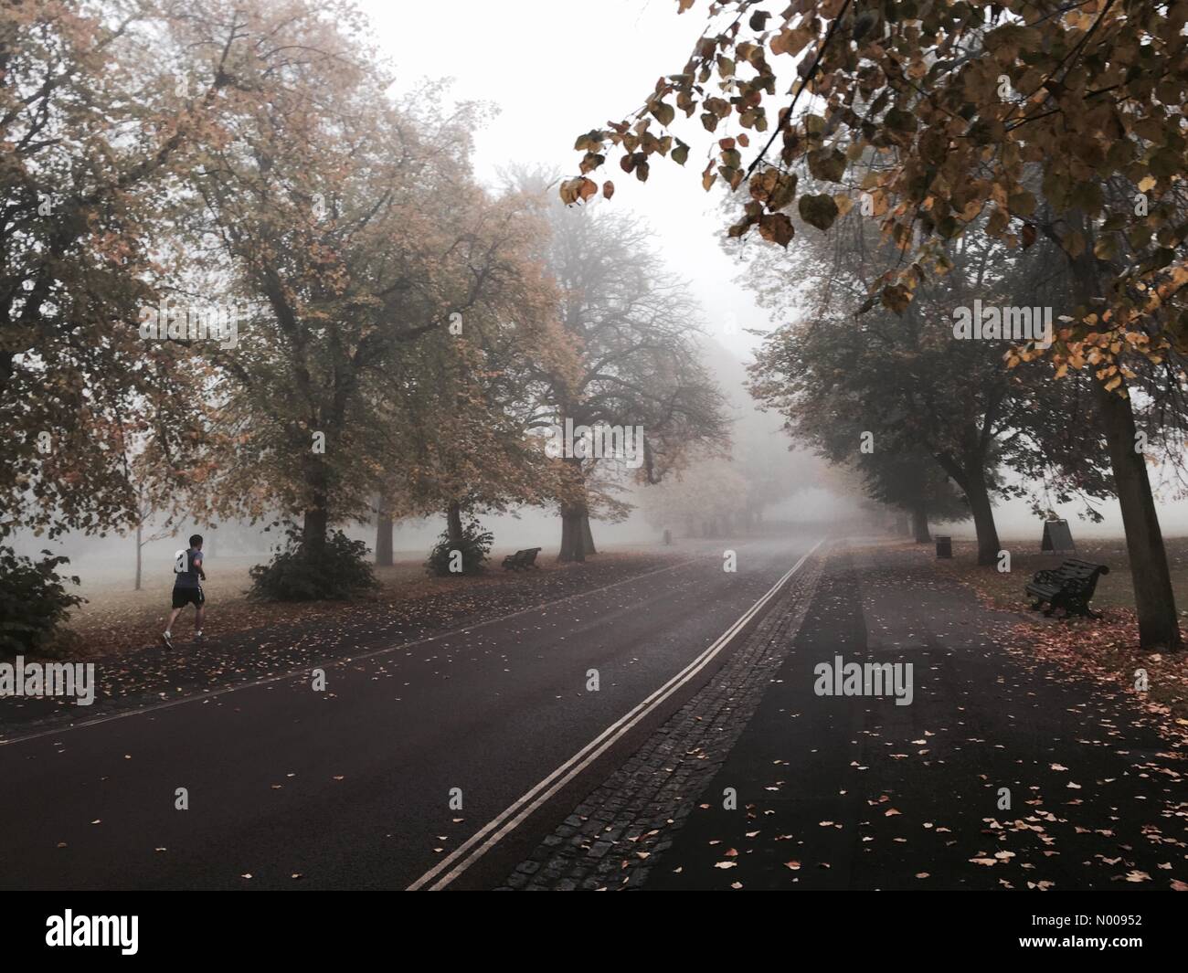 Alan edwards park hi-res stock photography and images - Alamy