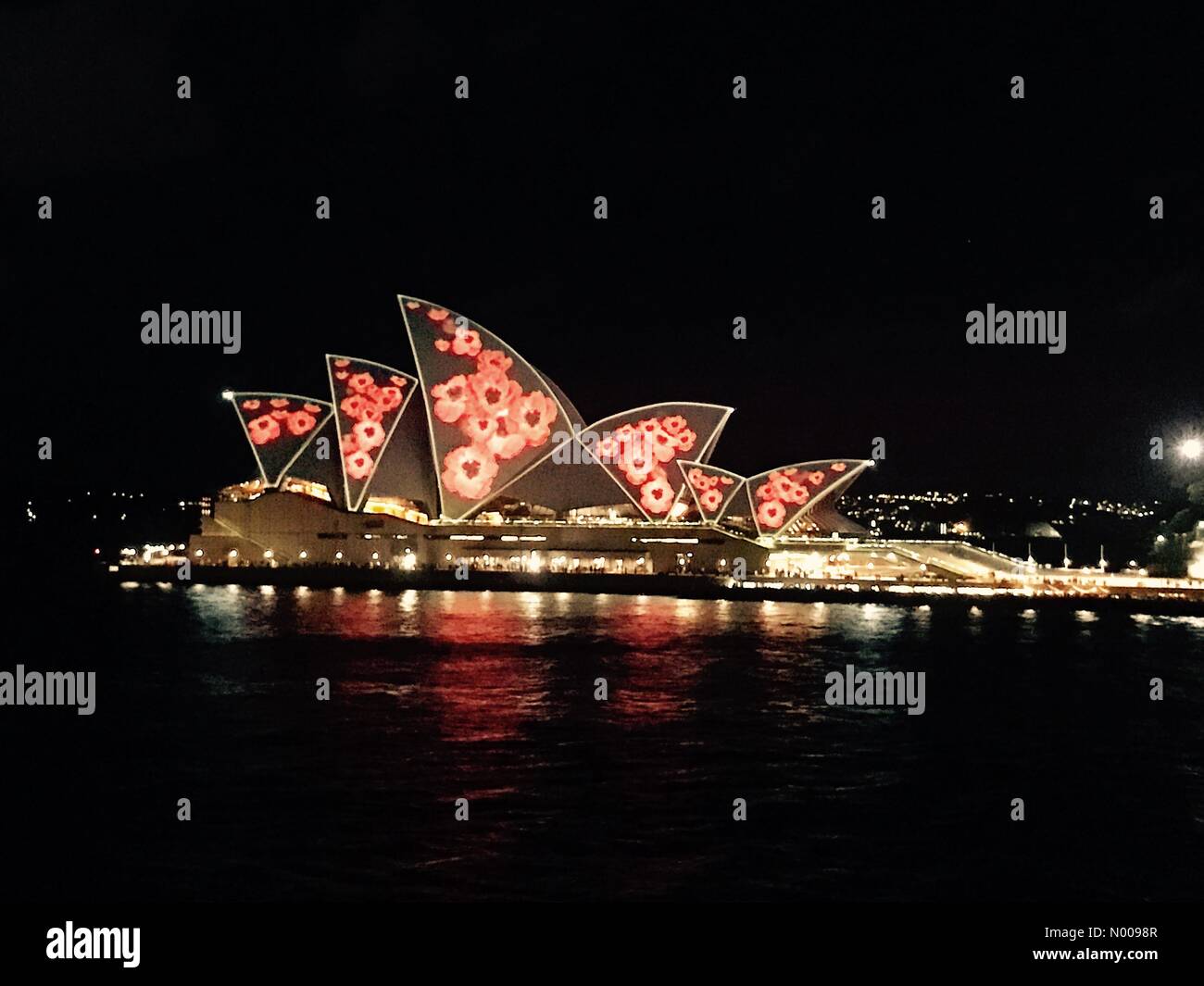 Sydney opera house poppies hi-res stock photography and images - Alamy