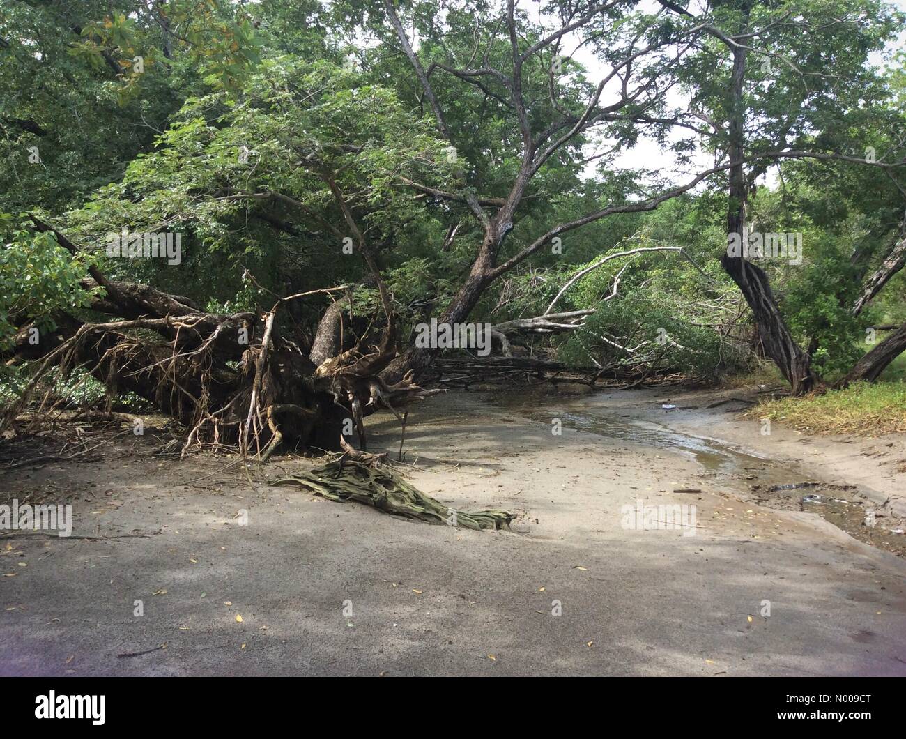 Hurricane category hi-res stock photography and images - Alamy