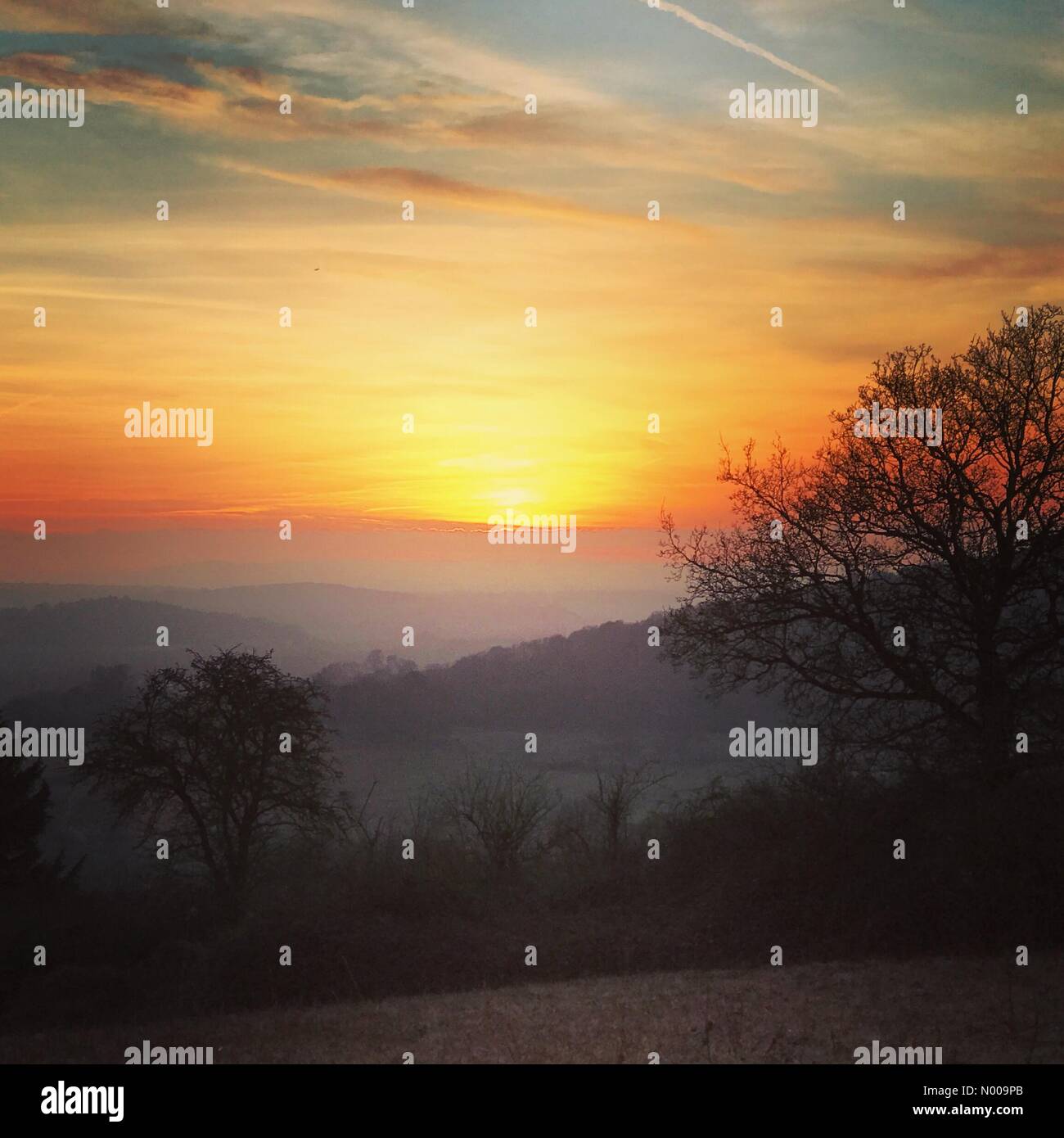 Shere Rd, Albury, Guildford, UK. 11th Dec, 2016. UK Weather: Sunset ...