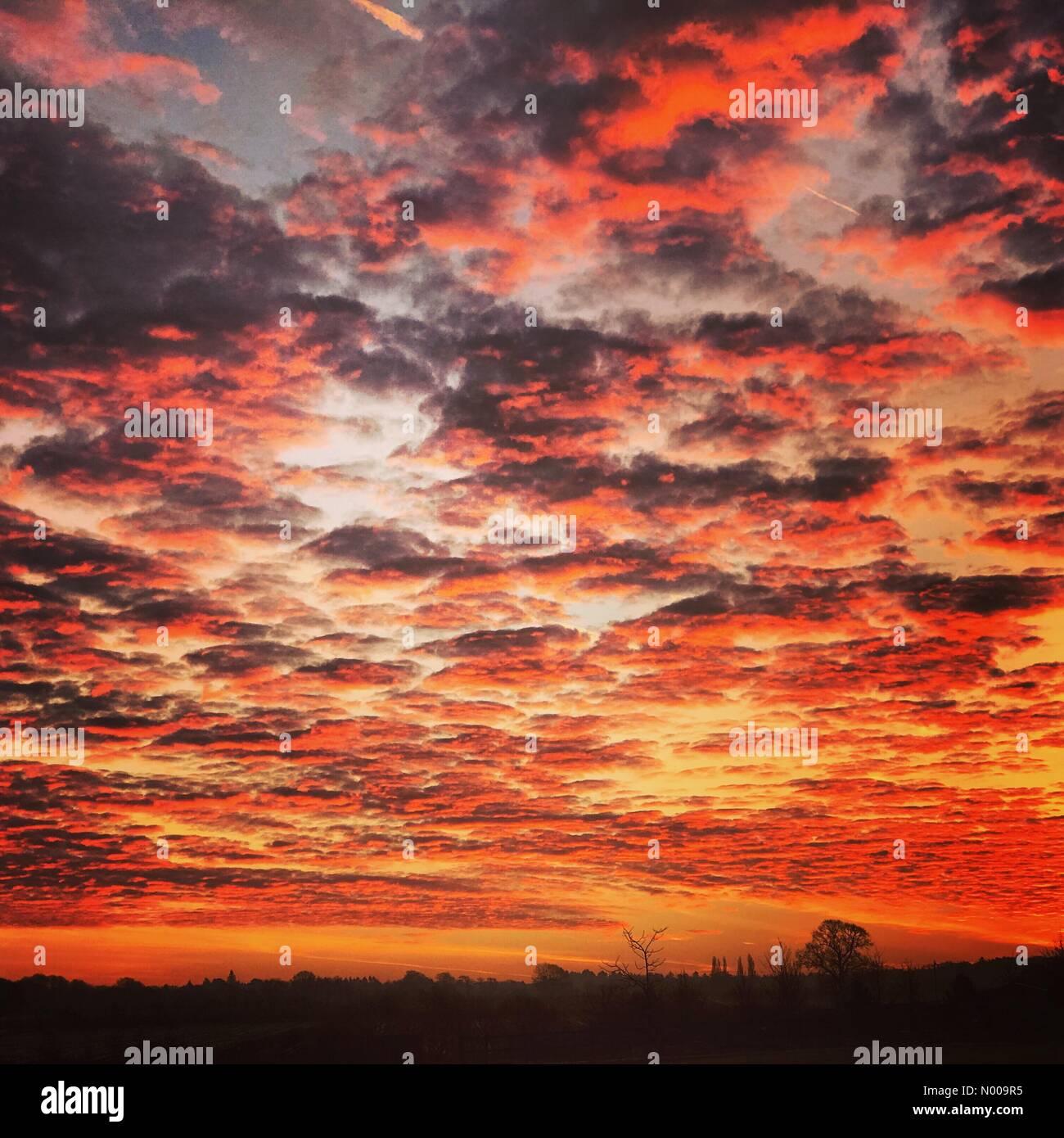 Tuesley Ln, Godalming, UK. 14th Dec, 2016. UK Weather, sunrise over ...