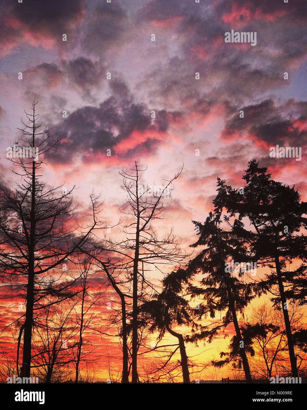 Tuesley Ln, Godalming, UK. 14th Dec, 2016. UK Weather: Sunrise over ...