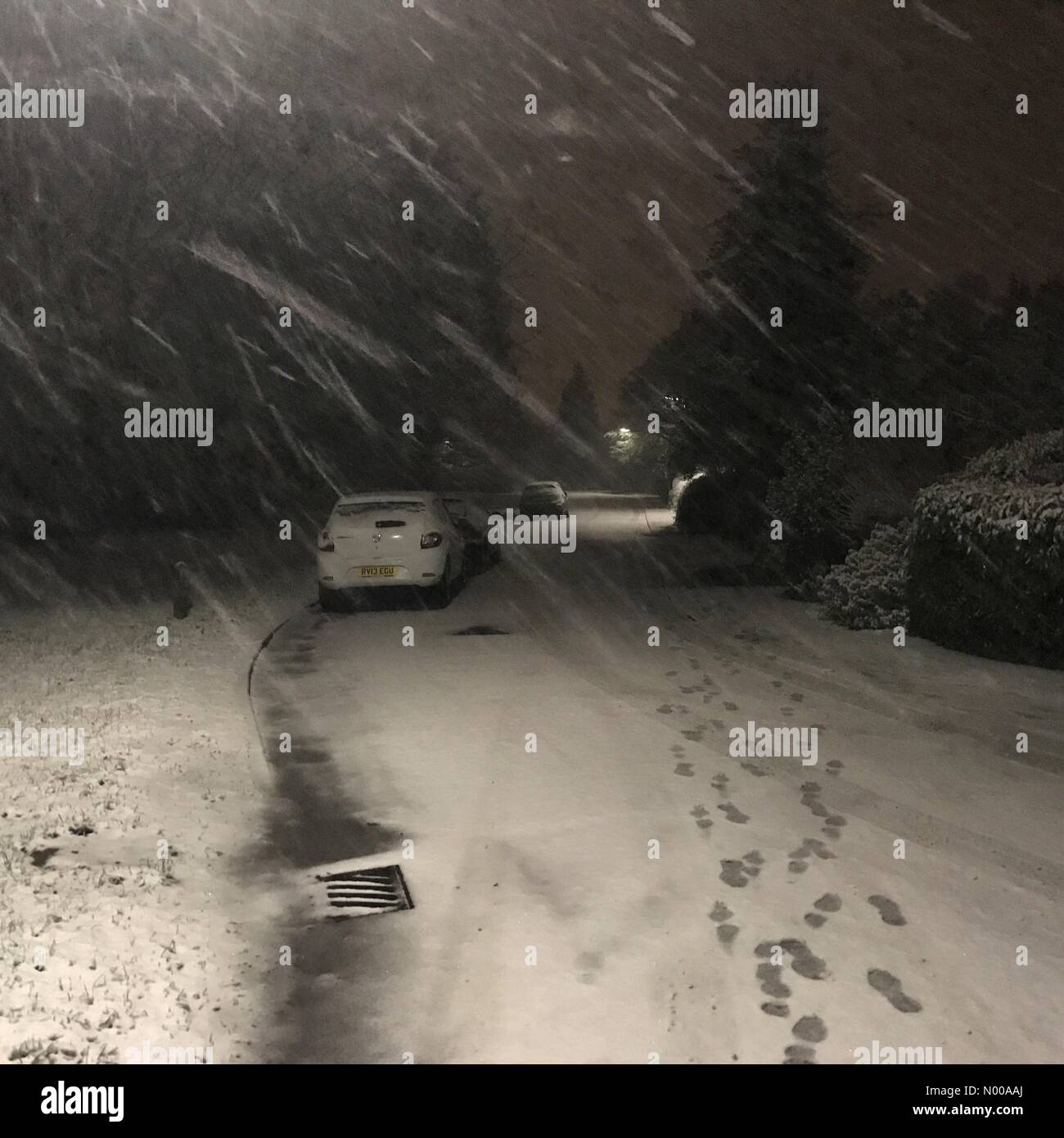 Guildford, UK. 12th Jan, 2017. UK Weather: Snow in Guildford ...