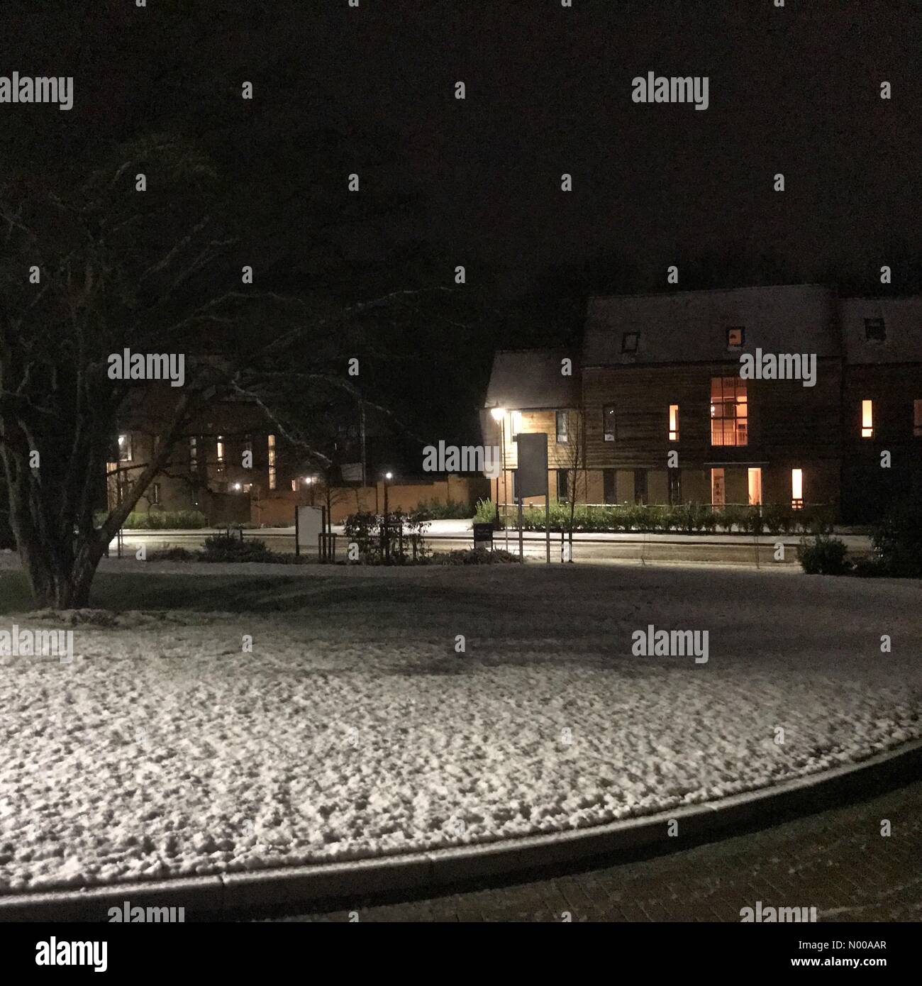 Sycamore Ave, Godalming, UK. 12th Jan, 2017. UK Weather: Snow in ...