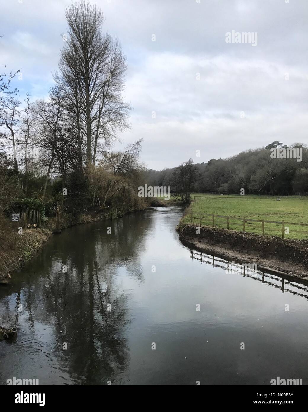 Tilford St, Tilford, Farnham, UK. 14th Feb, 2017. UK Weather: Overcast ...