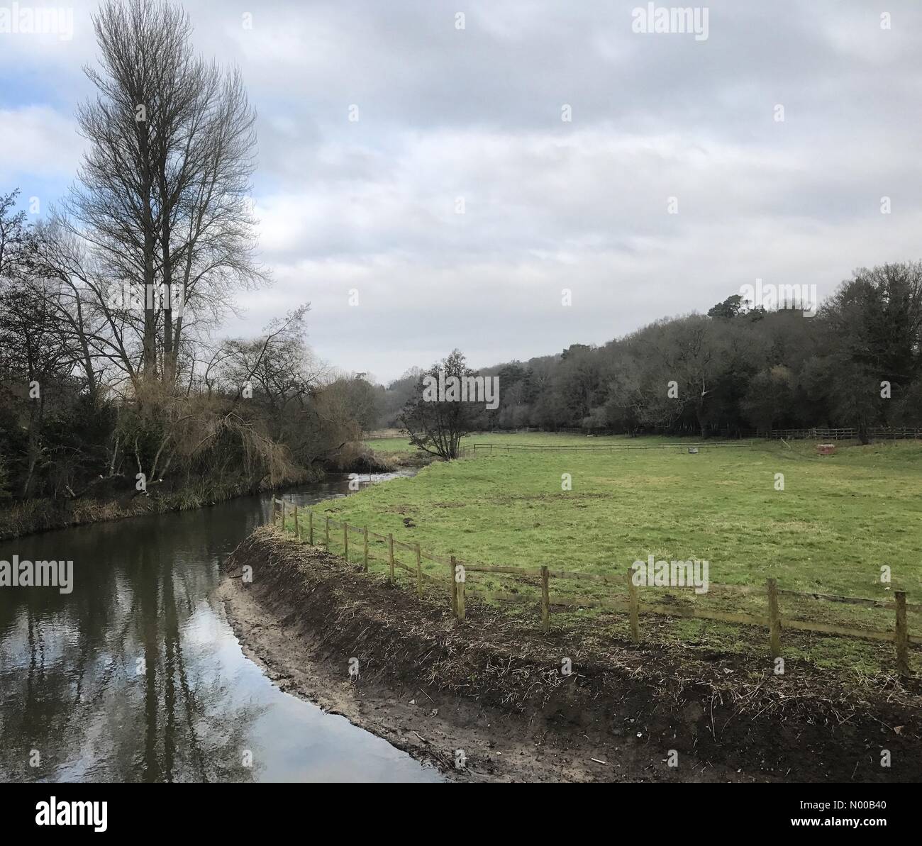 Tilford St, Tilford, Farnham, UK. 14th Feb, 2017. UK Weather: Overcast ...