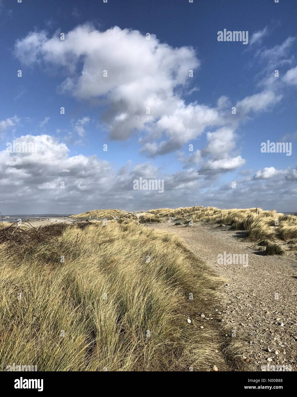 West Wittering, Chichester, UK. 23rd Feb, 2017. UK Weather: Storm Doris ...