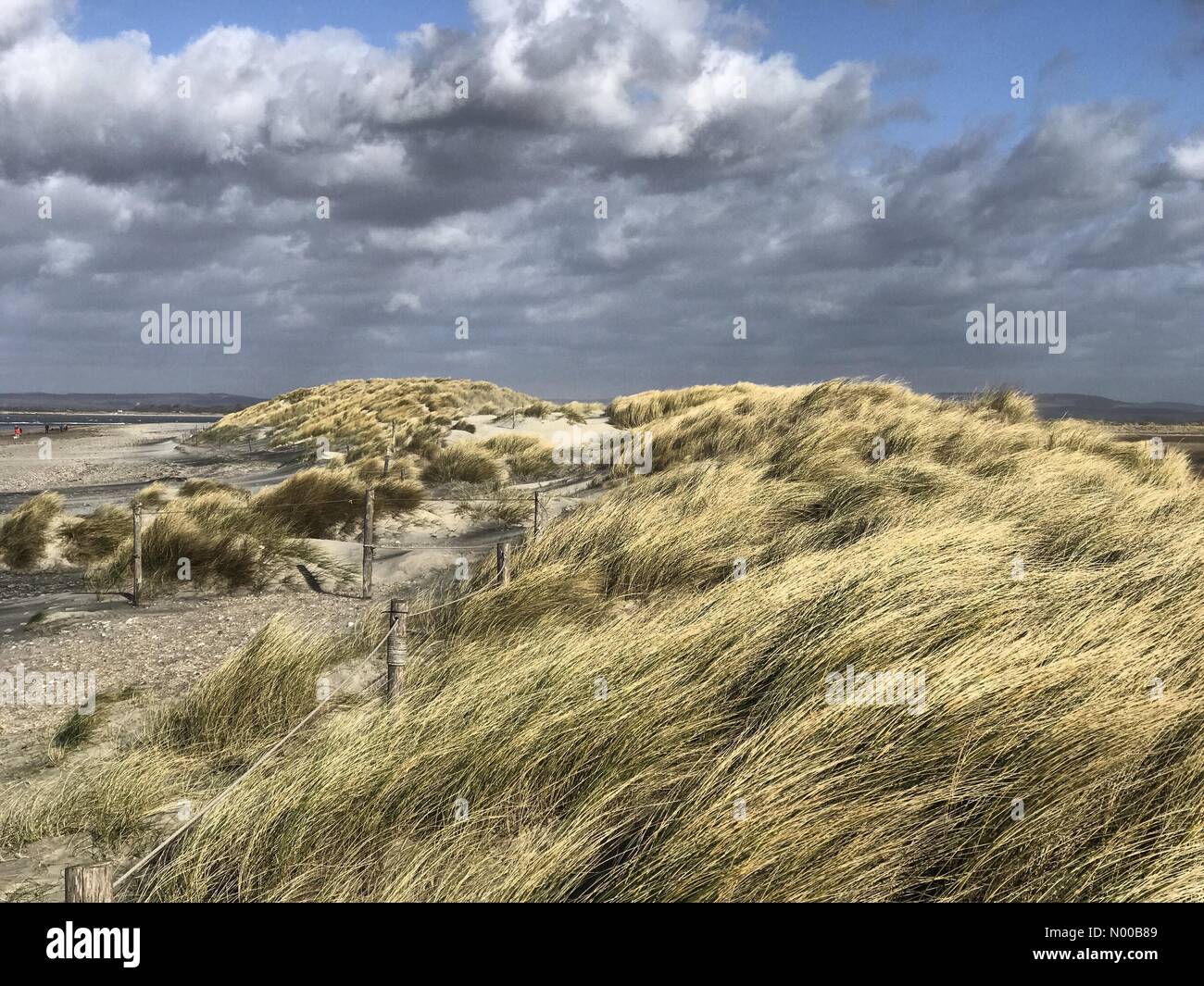 West Wittering, Chichester, UK. 23rd Feb, 2017. UK Weather: Storm Doris ...