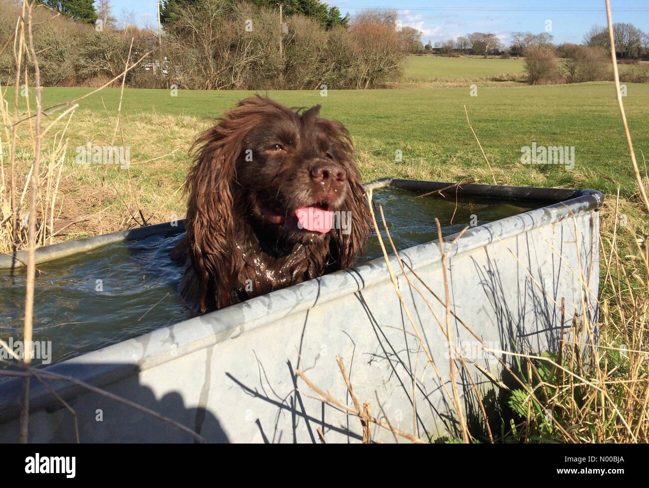 Cooling trough hi-res stock photography and images - Alamy