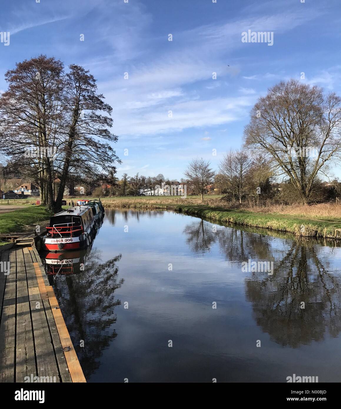 Godalming, UK. 09th Mar, 2017. UK Weather: Sunny in Godalming. Woolsack ...