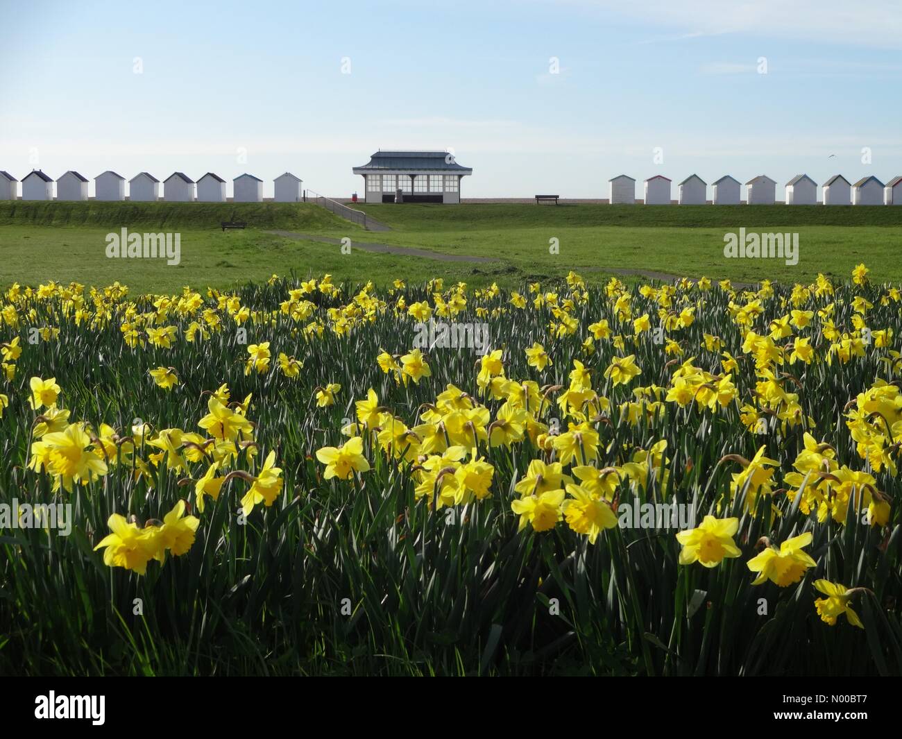 Goring-By-Sea, 17 March 2017. UK Weather. Goring By Sea is enjoying a ...