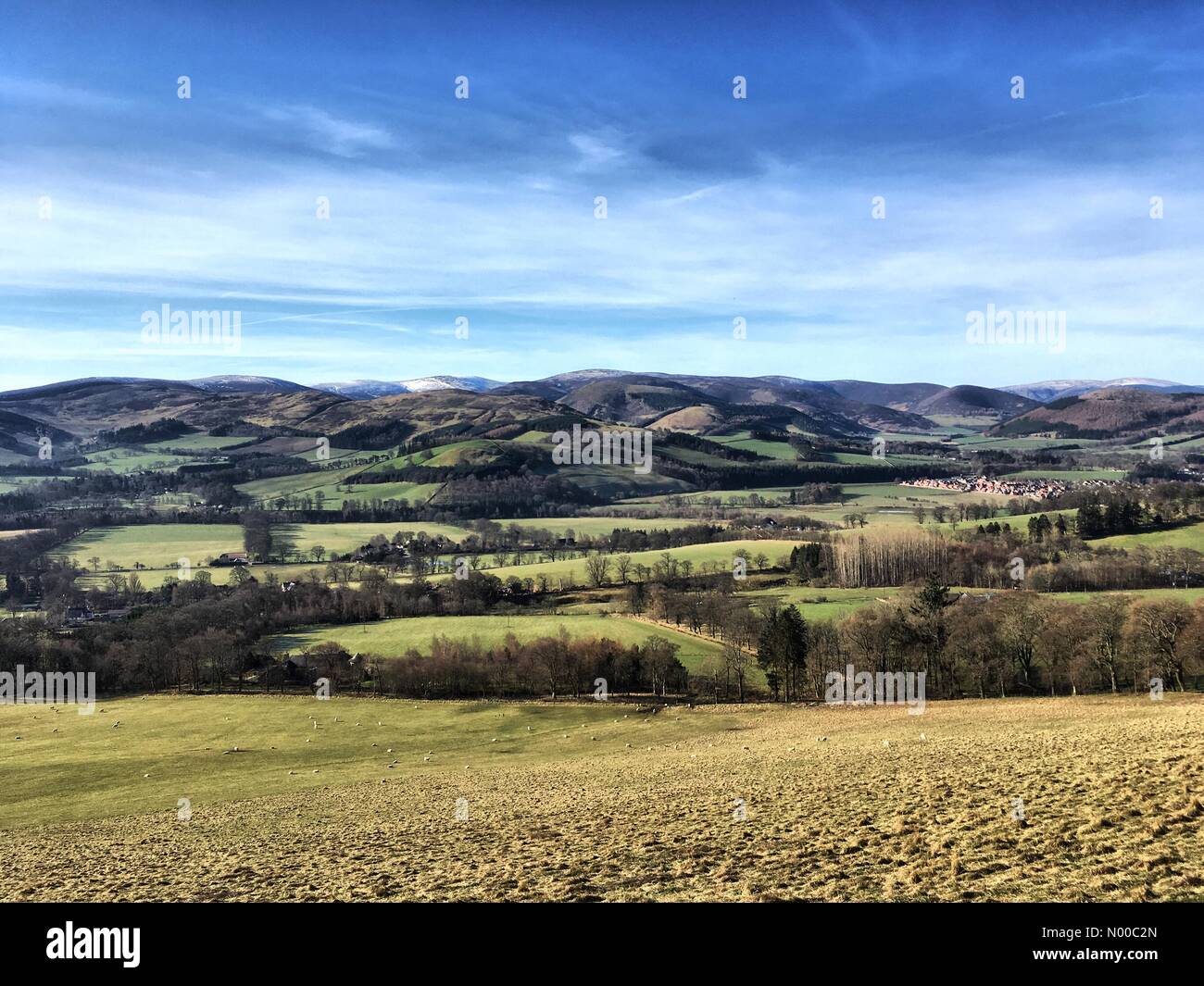 Peebles, UK. 25th Mar, 2017. Glentress, Peebles, Scotland, UK. Perfect ...