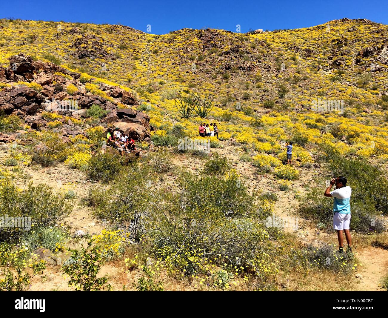 Joshua Tree National Park, California USA April 2nd, 2017 Tourists ...