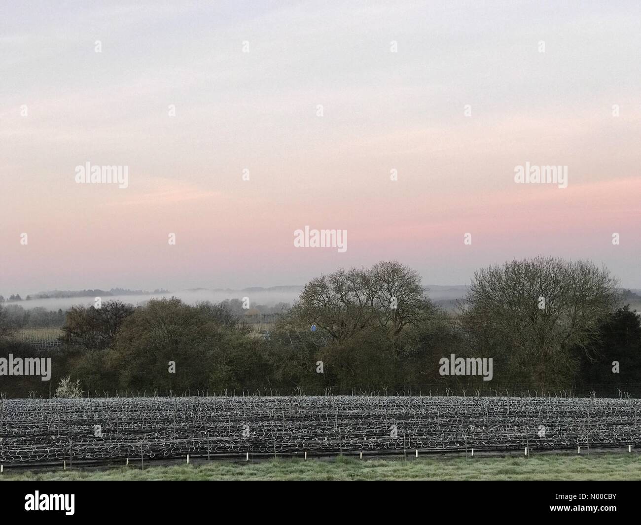 Tuesley Ln, Godalming, UK. 03rd Apr, 2017. UK Weather: Foggy sunrise in ...