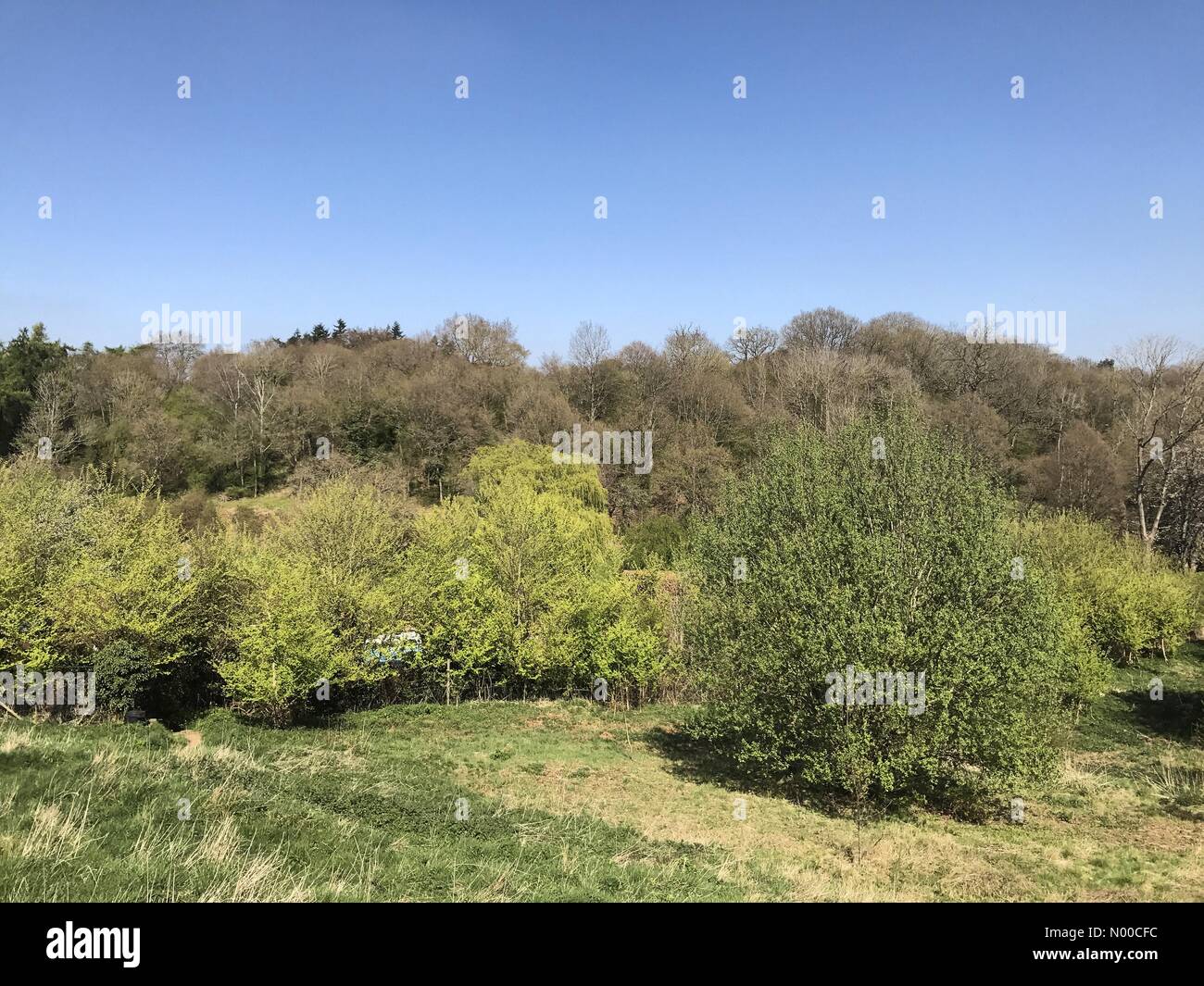 Tuesley Ln, Godalming, UK. 07th Apr, 2017. UK Weather: Spring sunshine ...