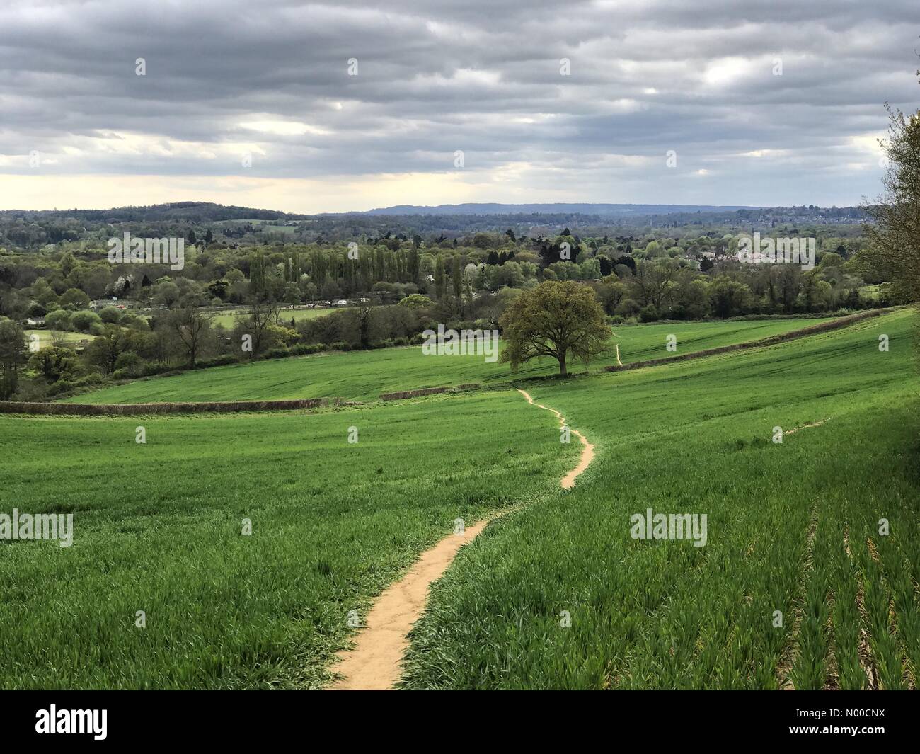Chantries hi-res stock photography and images - Alamy