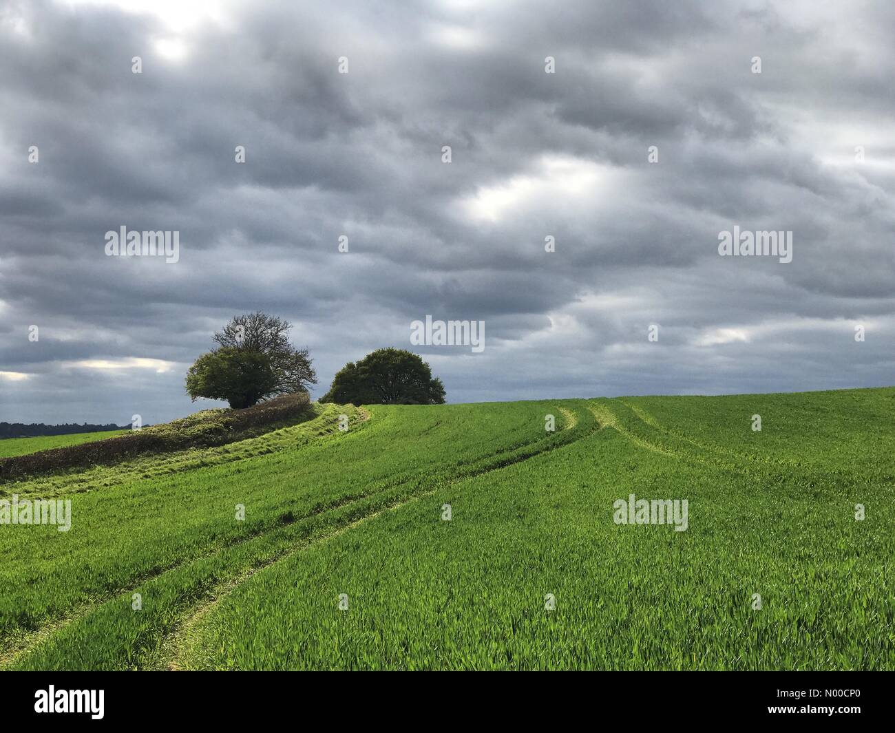 Chantries guildford hi-res stock photography and images - Alamy