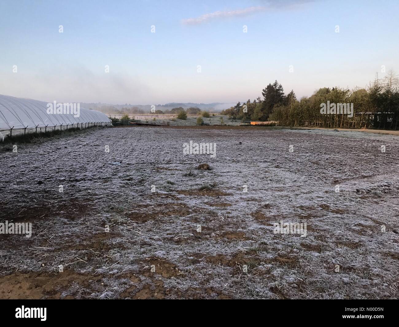 Godalming, UK. 27th Apr, 2017. UK Weather: Frost over Godalming ...