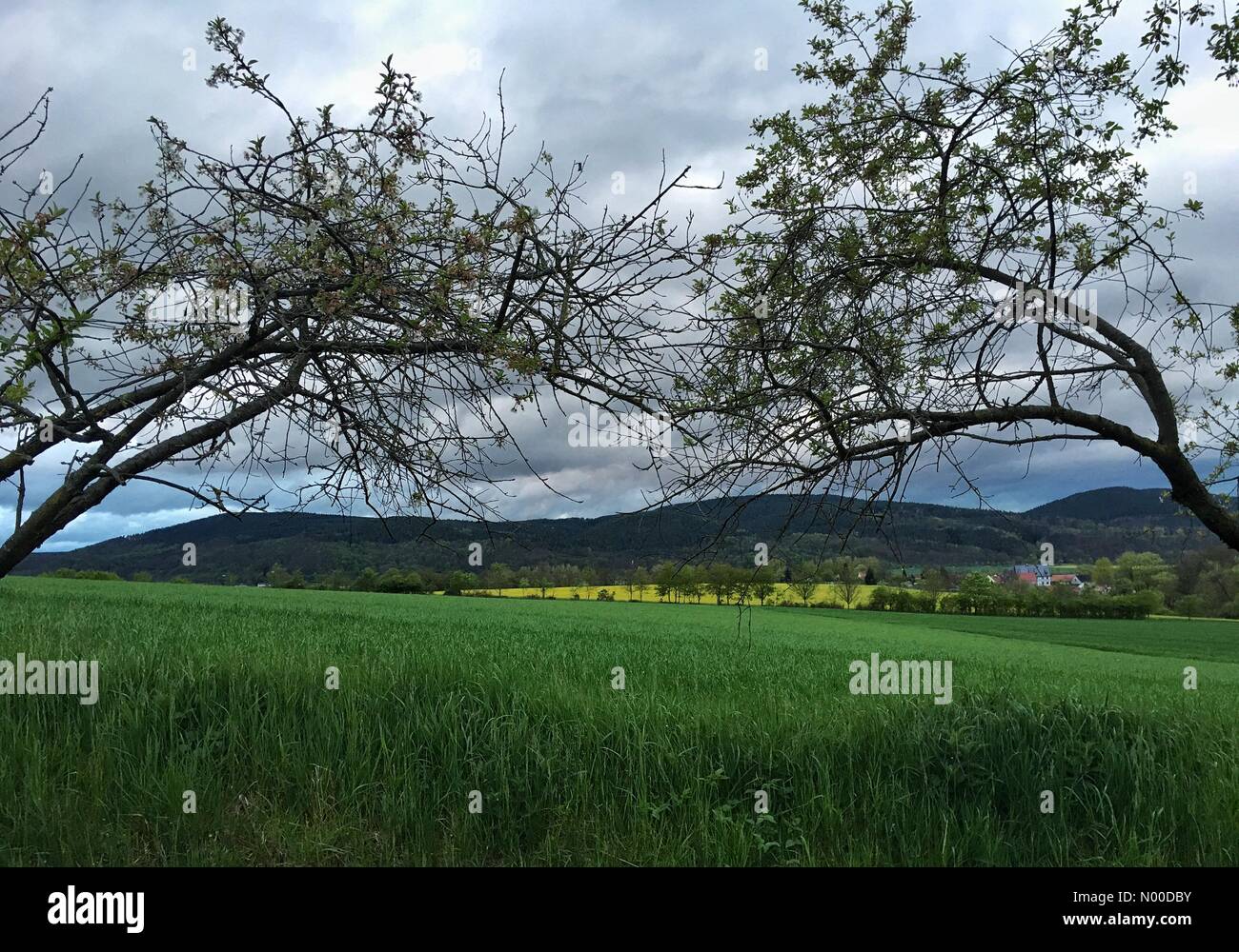 Nature view of a fields in Thuringia,Germany Stock Photo - Alamy