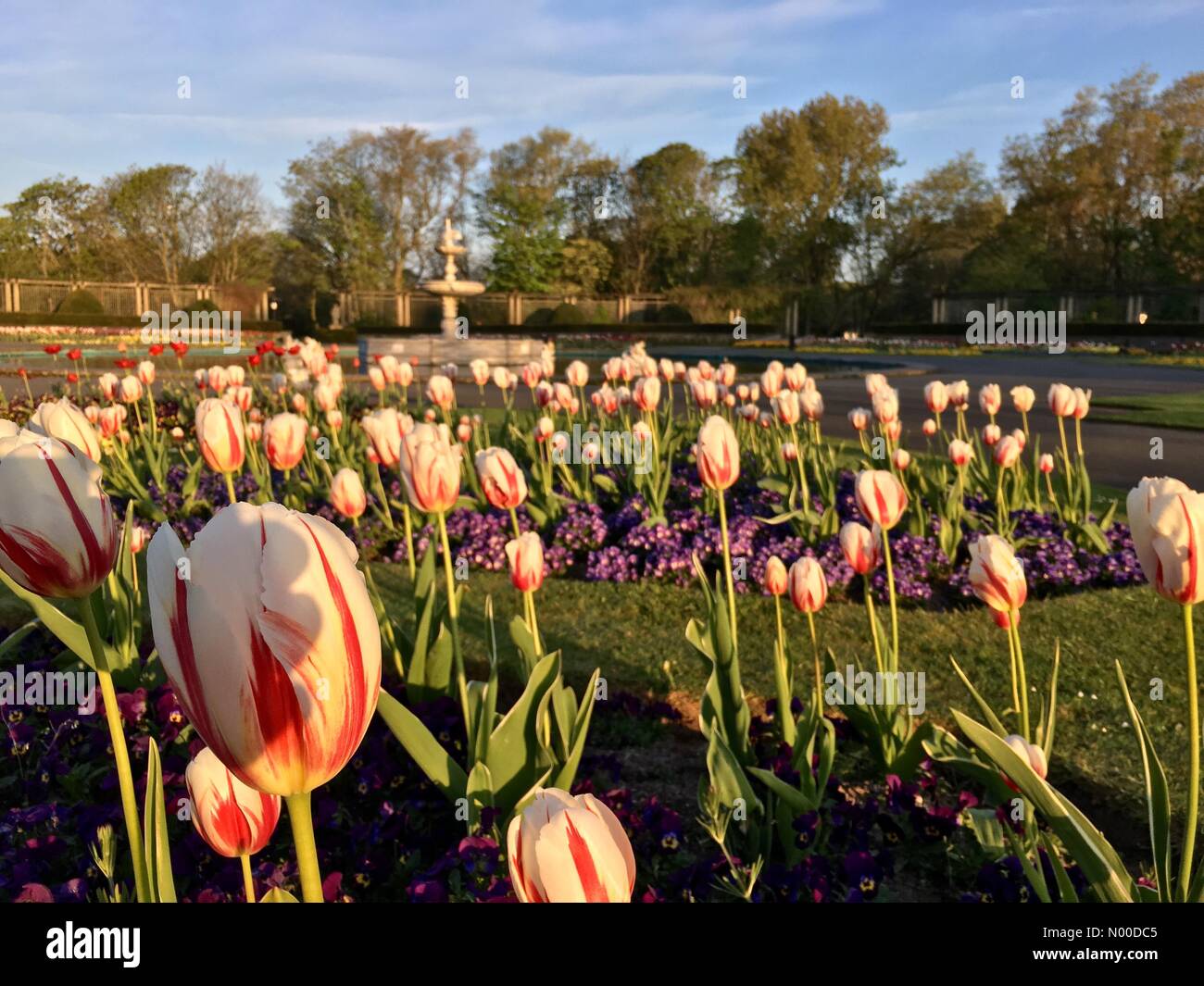 Blackpool fountain hi-res stock photography and images - Alamy