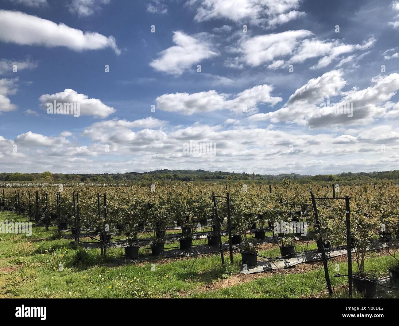 Tuesley farm hi-res stock photography and images - Alamy