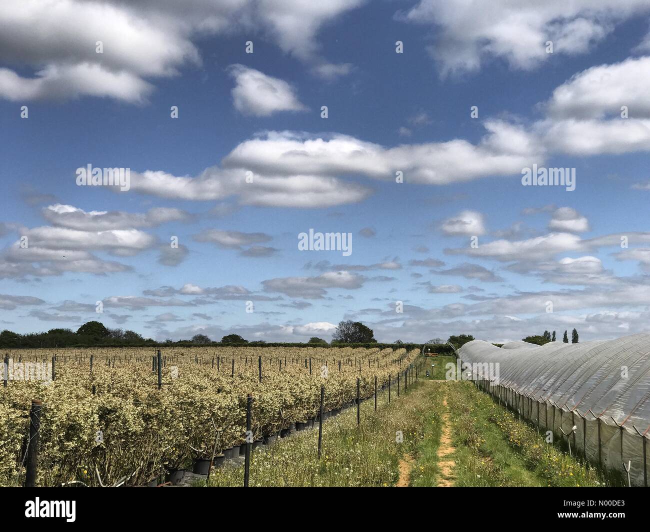 Tuesley farm hi-res stock photography and images - Alamy