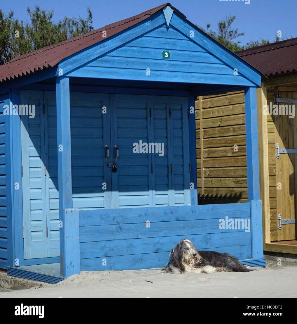 W Strand, West Wittering, Chichester, UK. 14th May, 2017. UK Weather ...