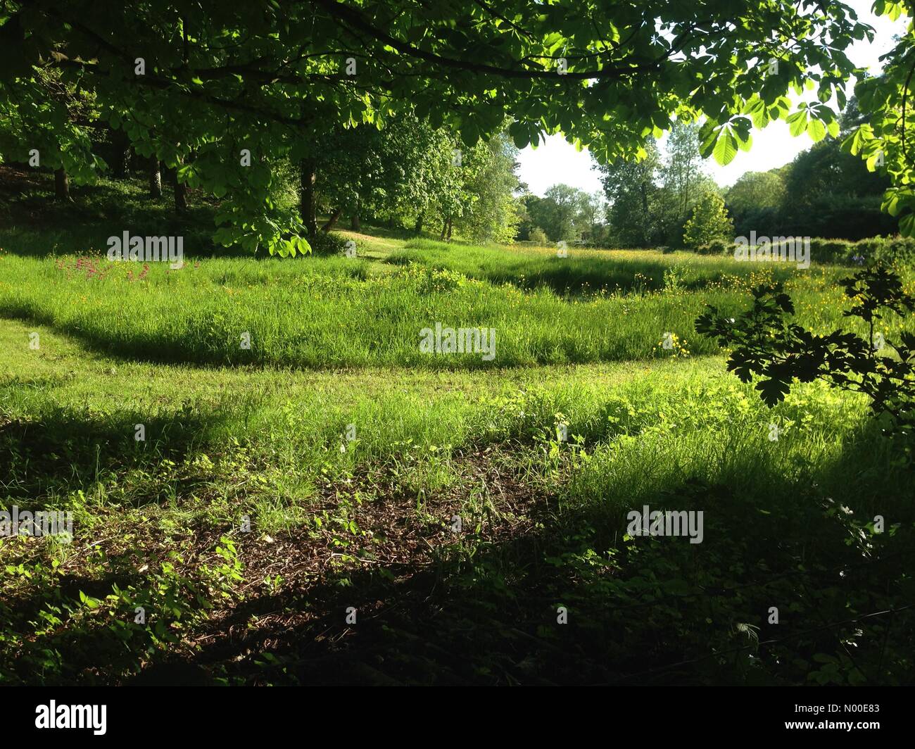 Roger flower hi-res stock photography and images - Alamy