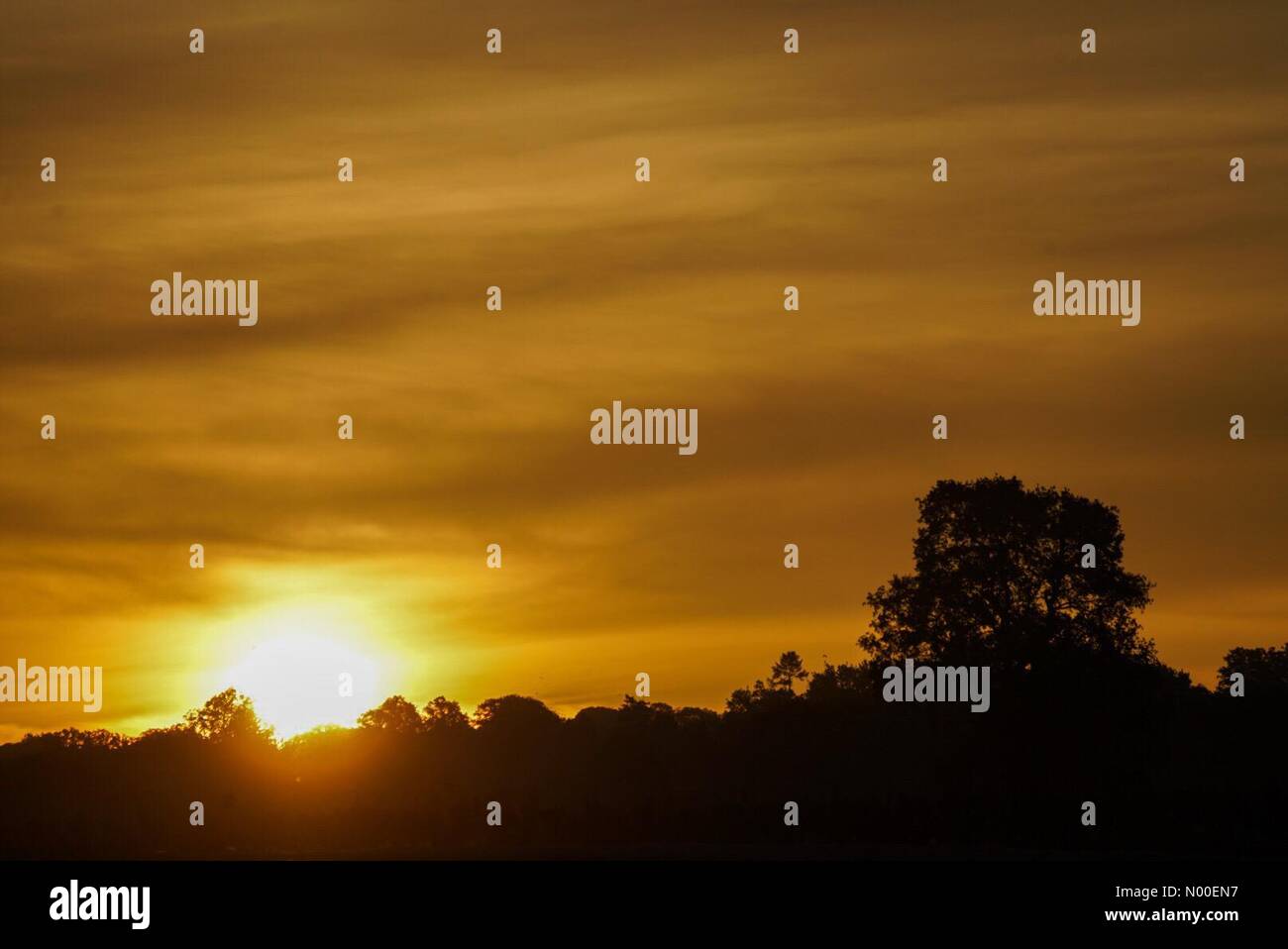 UK Weather: Sunrise over Godalming. Tuesley Farm, Godalming. 31st May ...