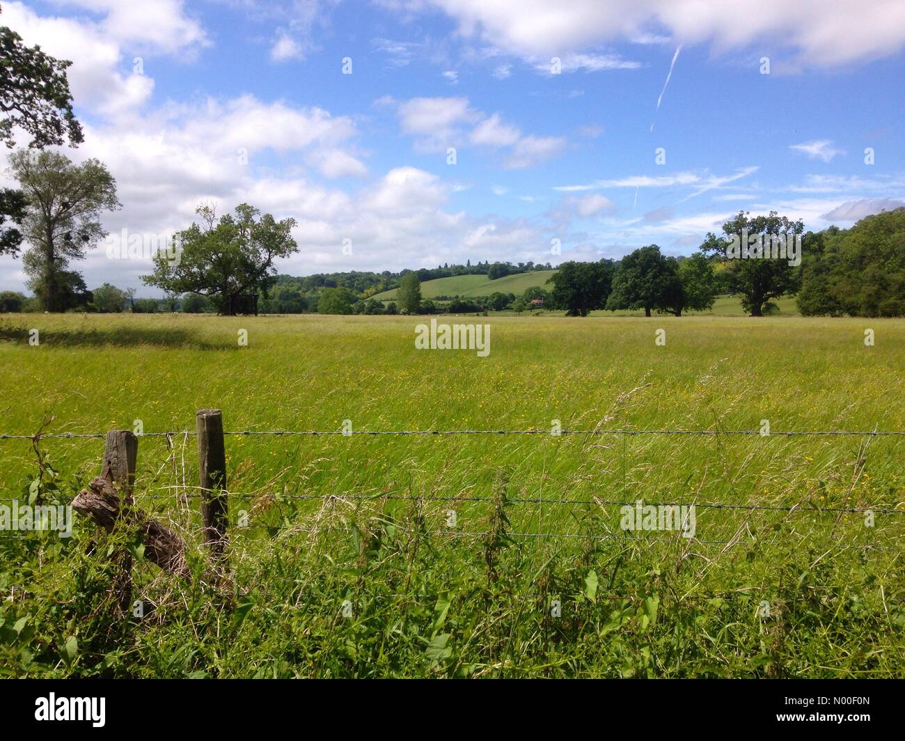 UK Weather: Hot and sunny in the Berkshire countryside near Reading ...