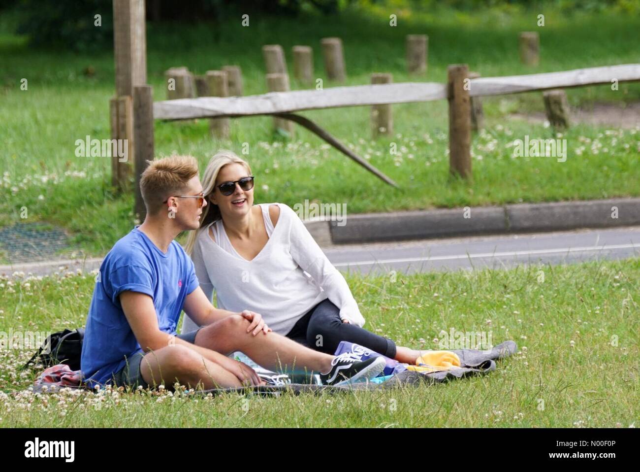 Tilford, Surrey, UK. 10th June, 2017. UK Weather: Sunny intervals in ...