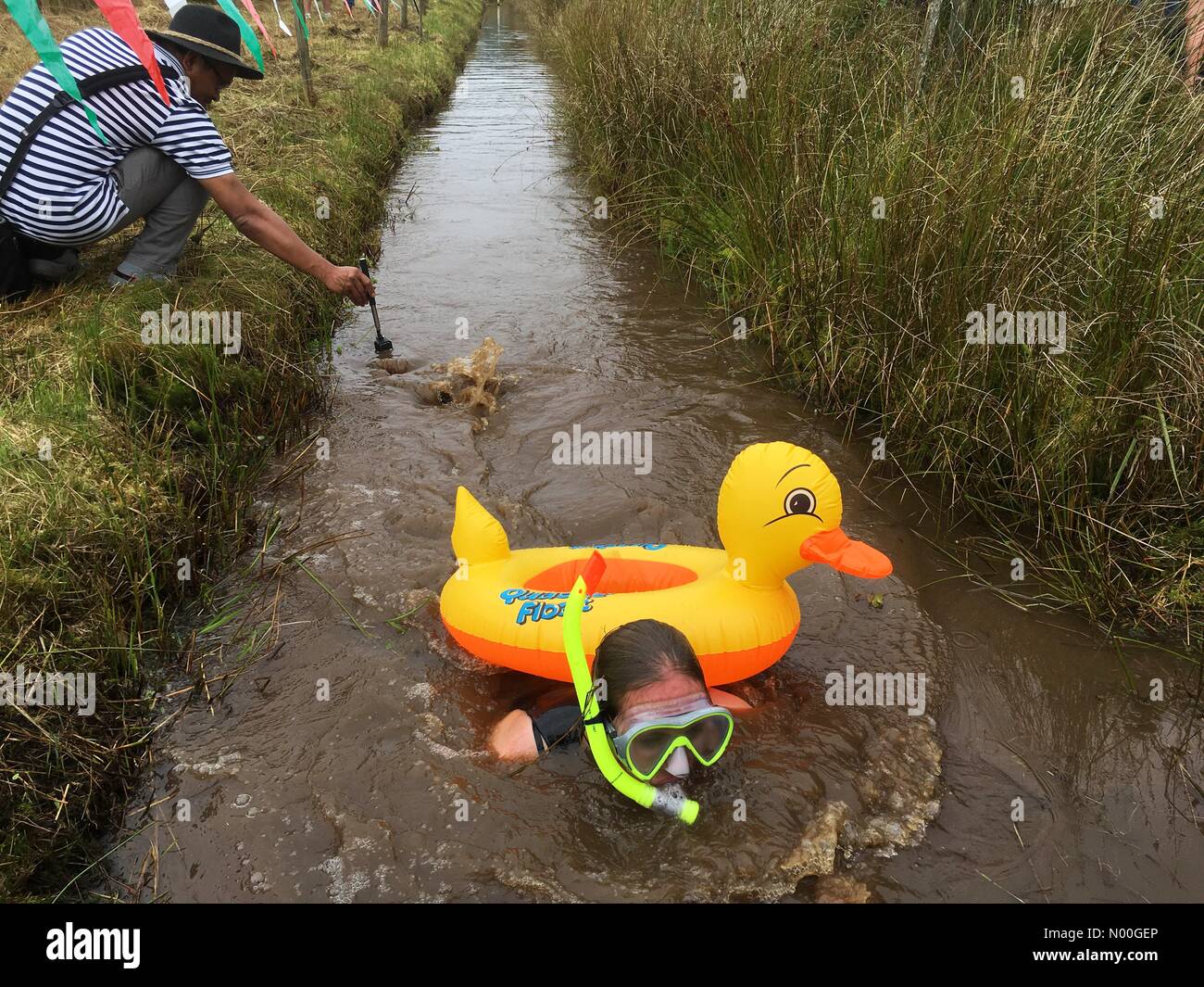 World Bog Snorkelling Championship, Llanwrtyd Wells, Powys, Wales ...