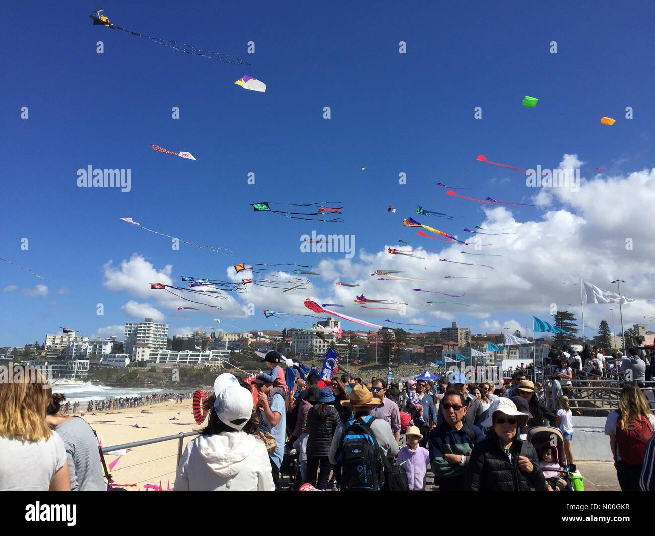 Elizabeth beach nsw hi-res stock photography and images - Alamy