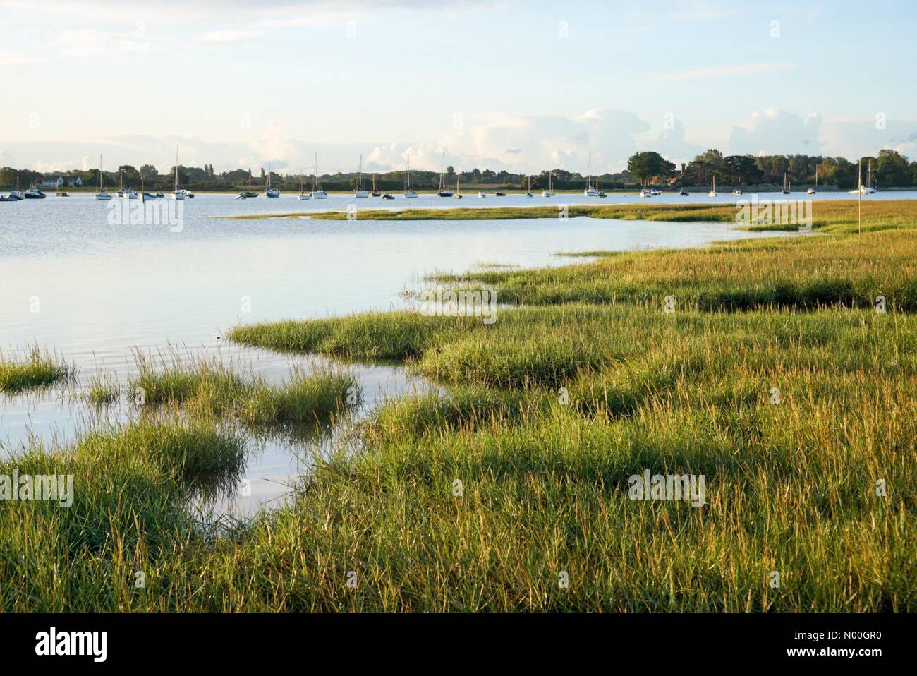 UK Weather: Sunny in Chidham. Harbour Way, Chidham. A beautiful start ...