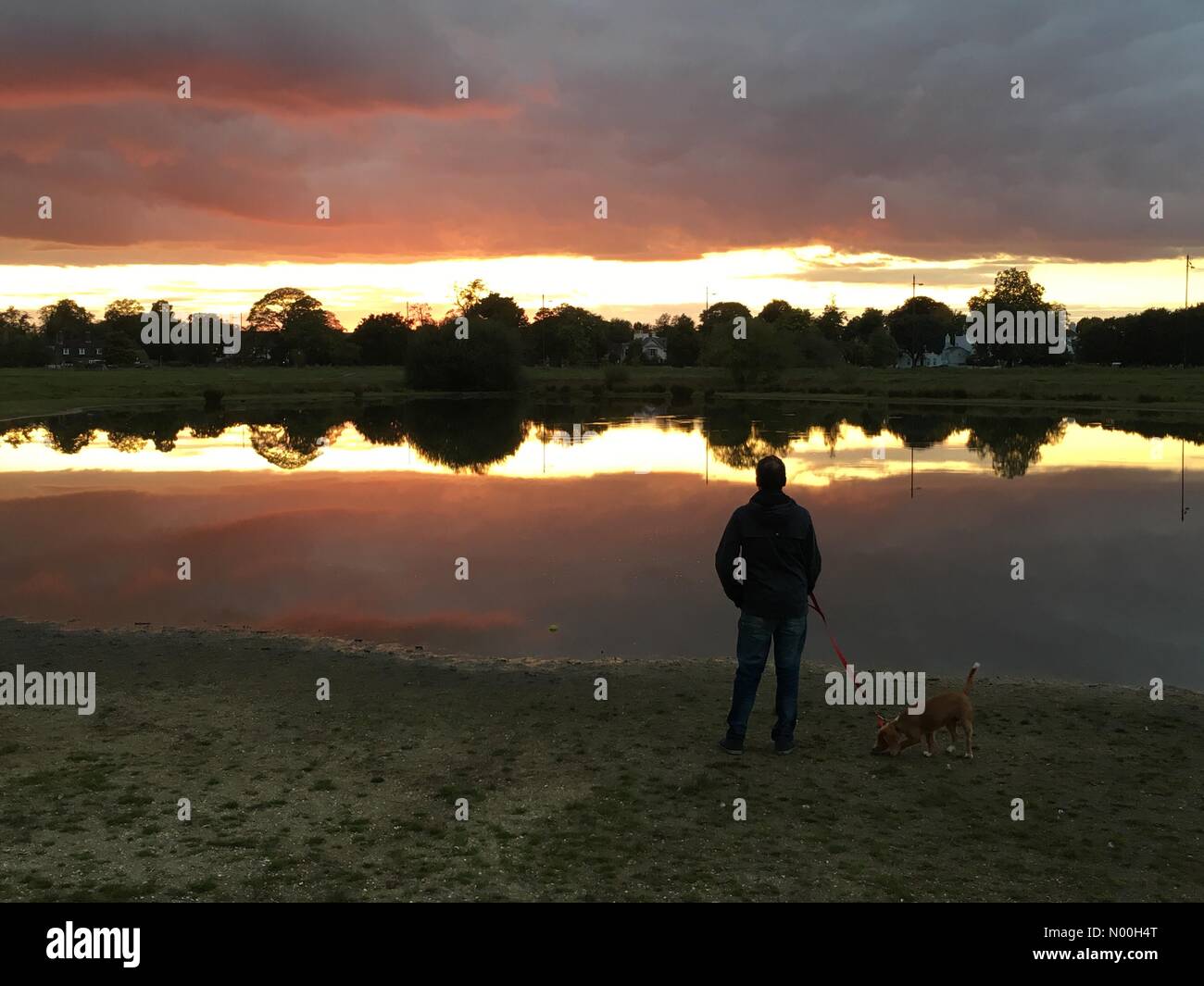 Wimbledon common pond hi-res stock photography and images - Alamy