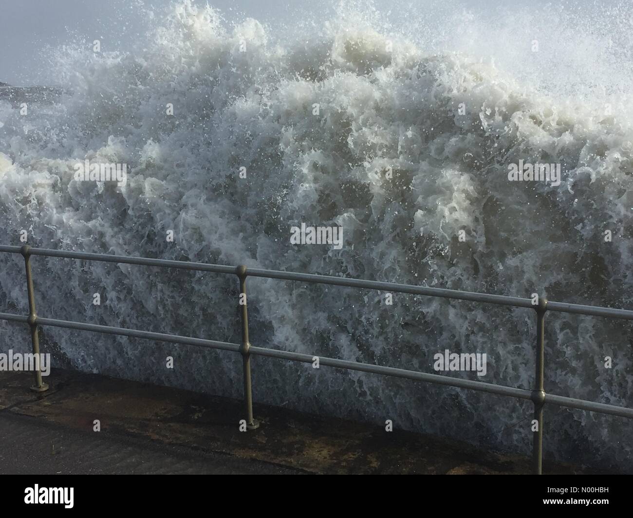 Bogner regis hi-res stock photography and images - Alamy