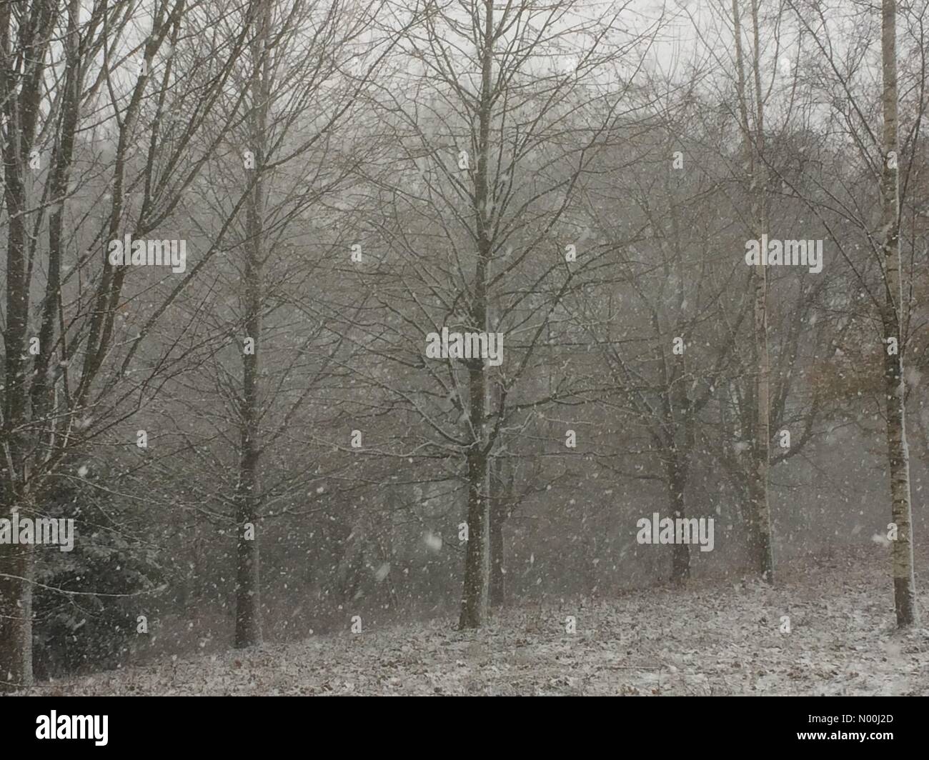York, UK. 30th Nov, 2017. Snowing in North Yorkshire Credit: PennPix ...