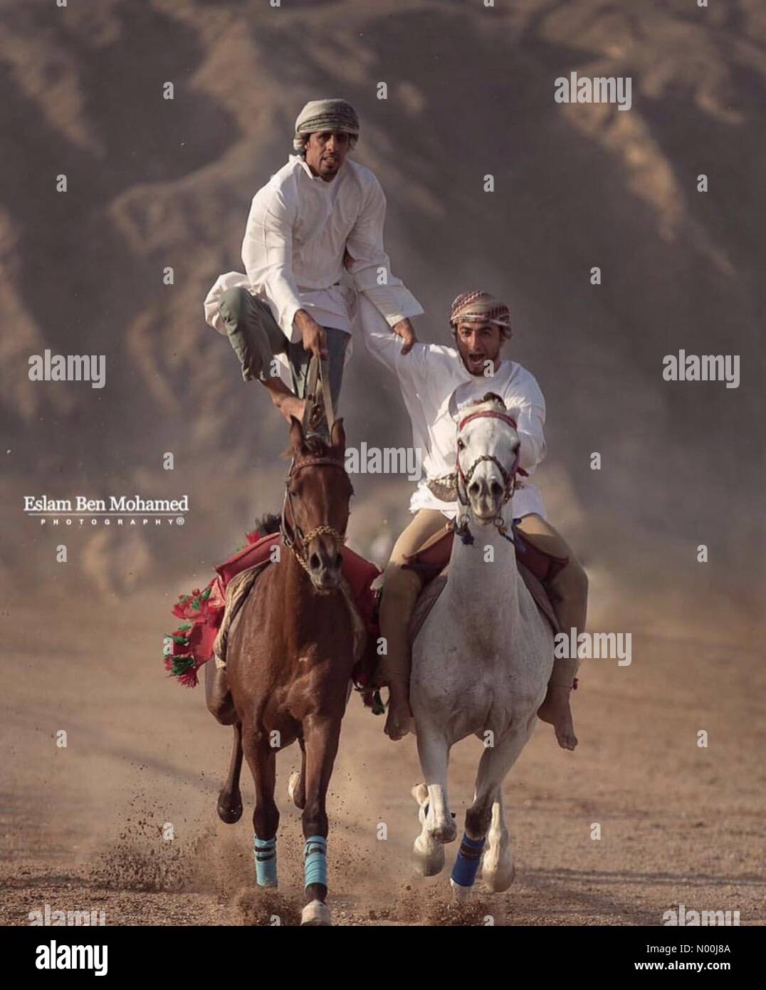 Arabian horse racing hi-res stock photography and images - Alamy