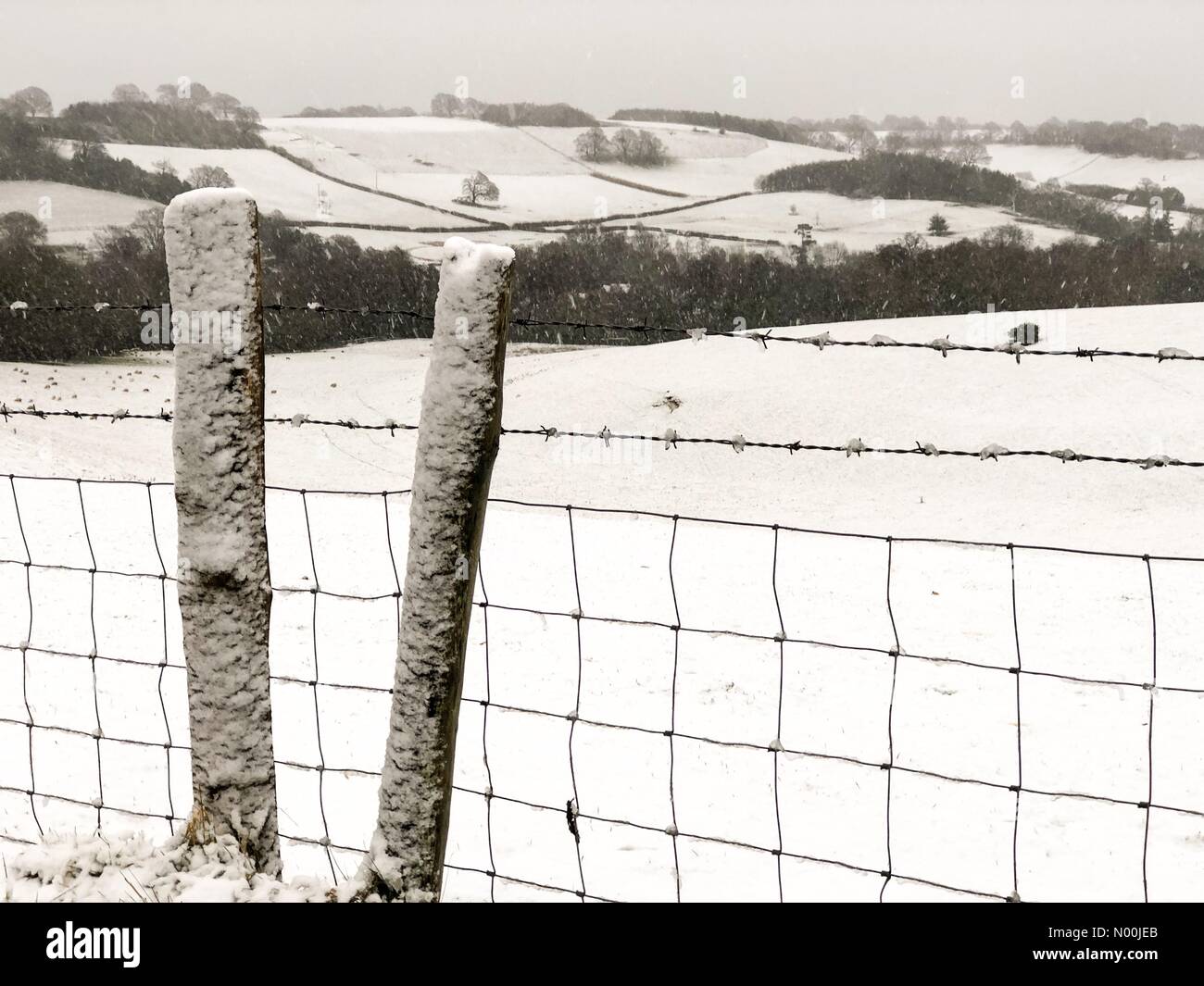Guildford, UK. 27th Dec, 2017. UK Weather: Snowfall in Godalming ...